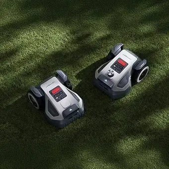 Anthbot